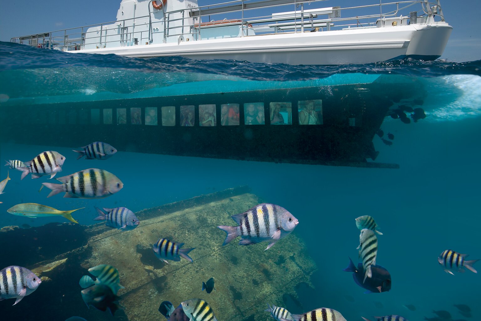 Top 7 Spring Break Aruba Family Activities | Casiola