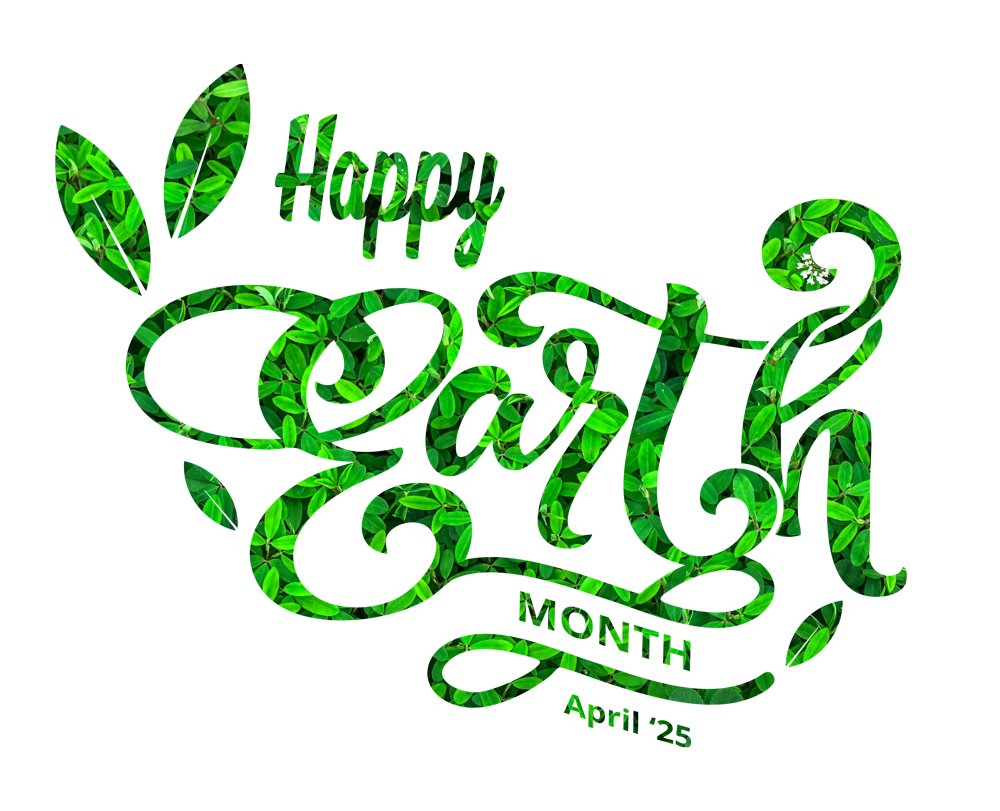 Celebrating Earth Day every day: How Casiola makes every stay a little ...