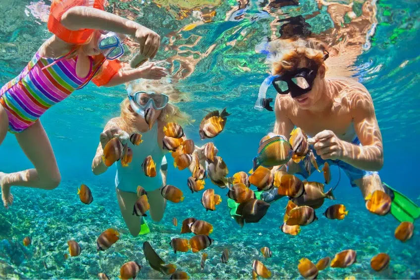Aruba August travel guide: 7 amazing ways to enjoy the island - Casiola