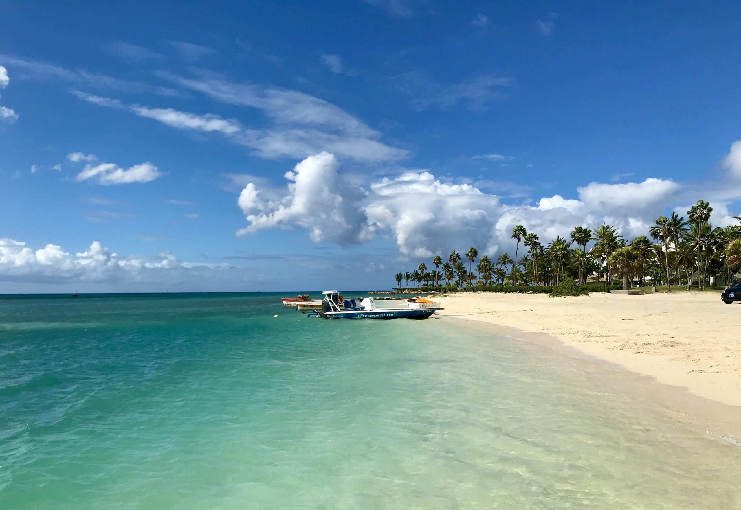 The best time to visit Aruba for wellness and celebration