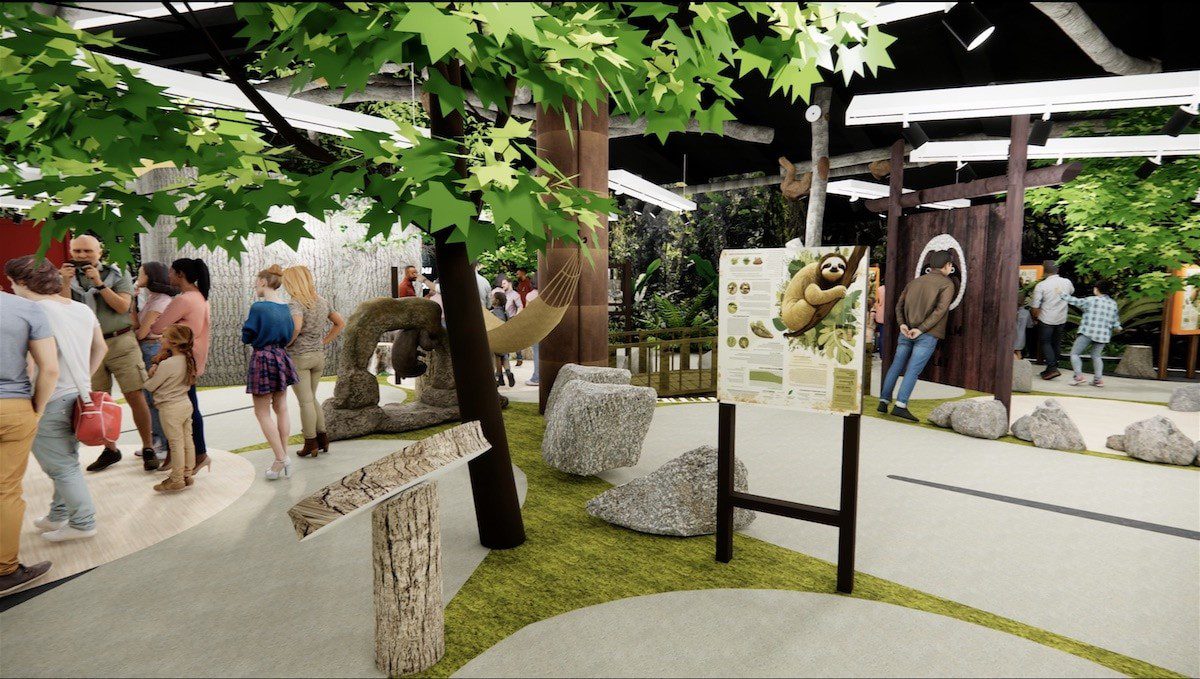Sloth World is opening in Orlando in 2026! - Casiola